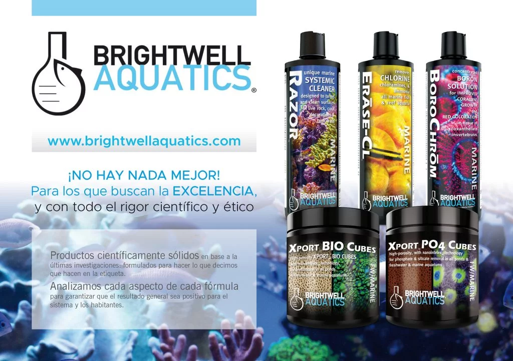 Entrevista Jack Kent [Brightwell Aquatics] — Revista - Corales Y Marinos