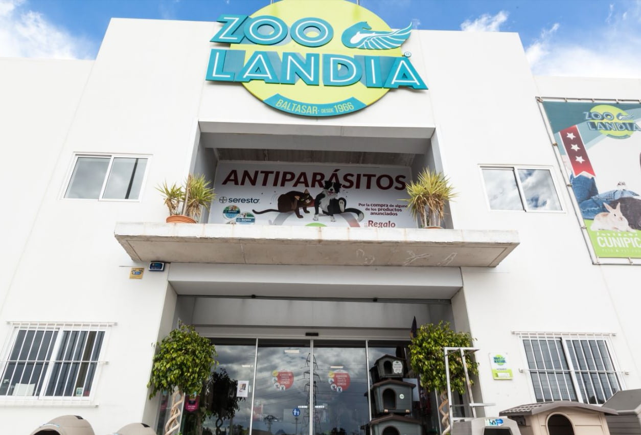 Entrevista a Zoolandia — Revista - Corales Y Marinos