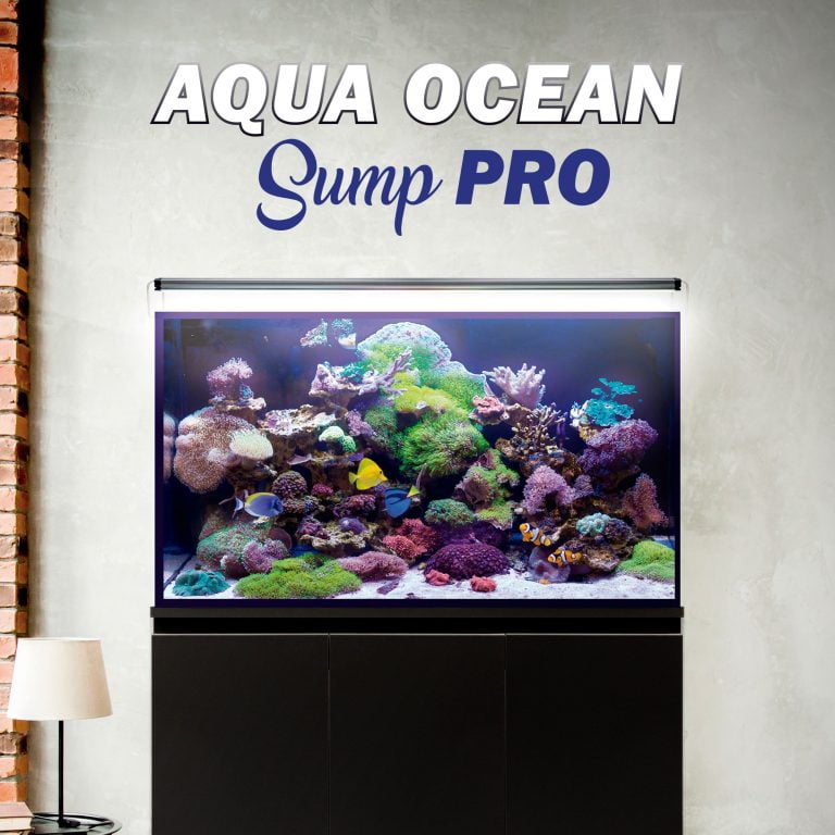 SUMP en el acuario marino — Revista - Corales Y Marinos