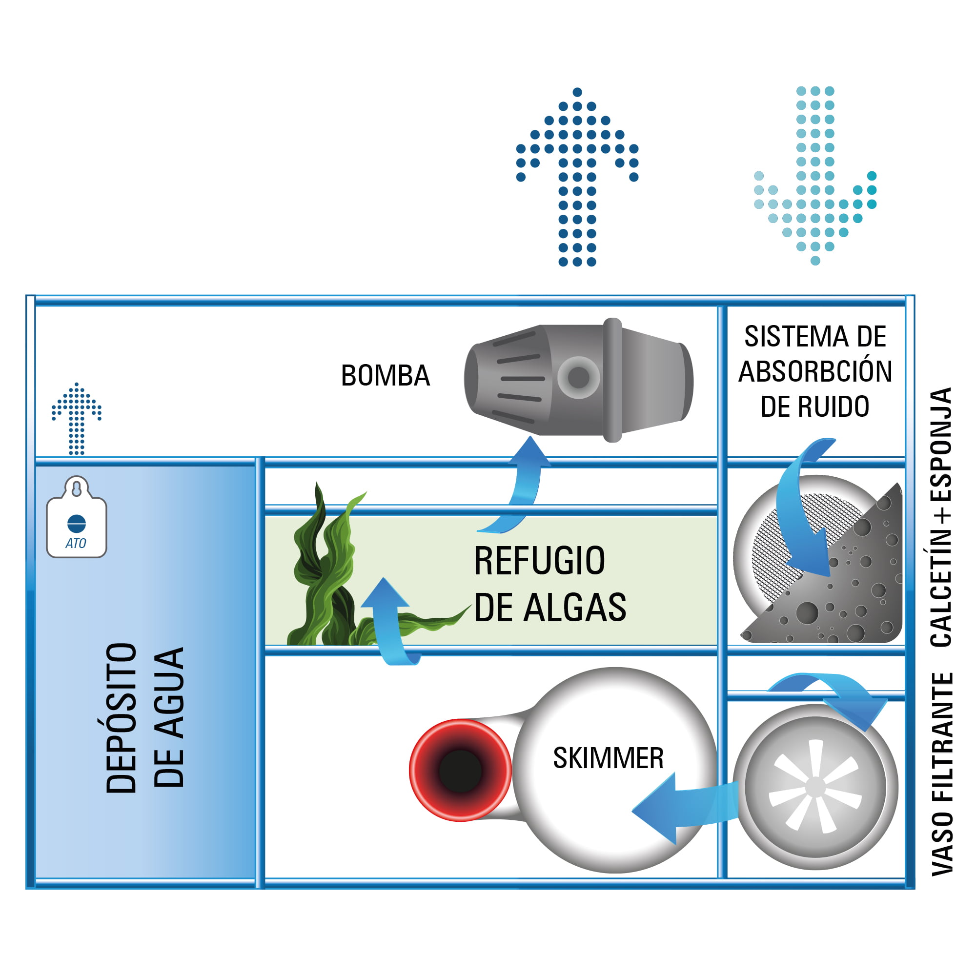 SUMP en el acuario marino — Revista - Corales Y Marinos